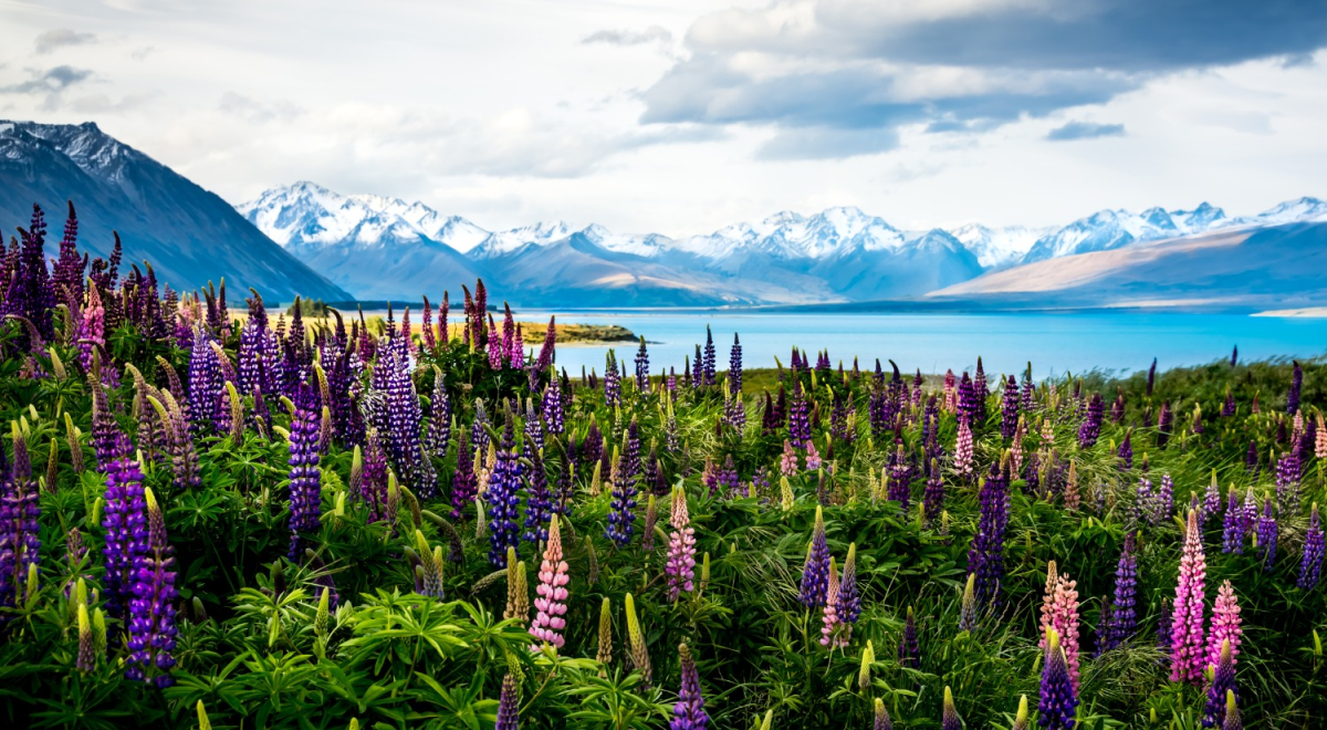 5-Day South Island Itinerary: What to Do & See | Flight Centre NZ
