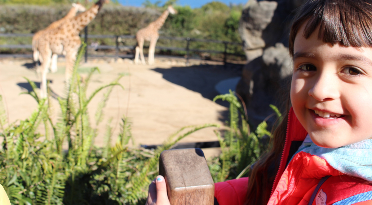 Go Wild For Taronga Zoo Sydney's Centenary Celebration!