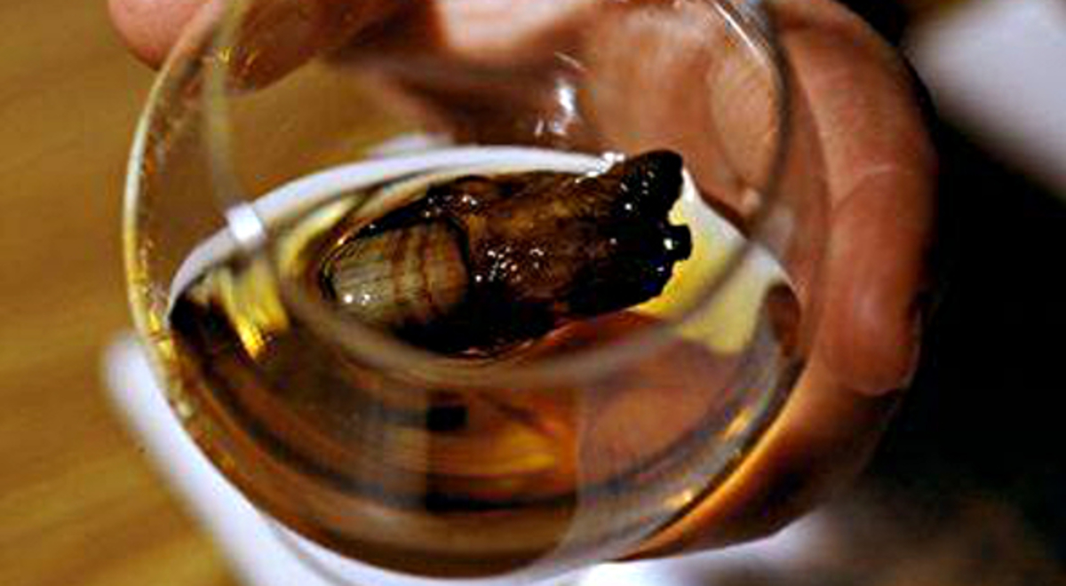 11 Weird Alcoholic Drinks Not Recommended For Weak Stomachs