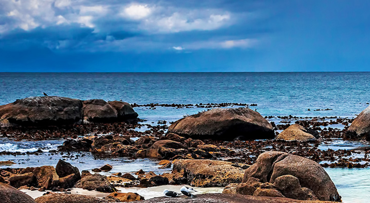 From Kosi Bay To Alexander Bay - The Best Beaches In South Africa