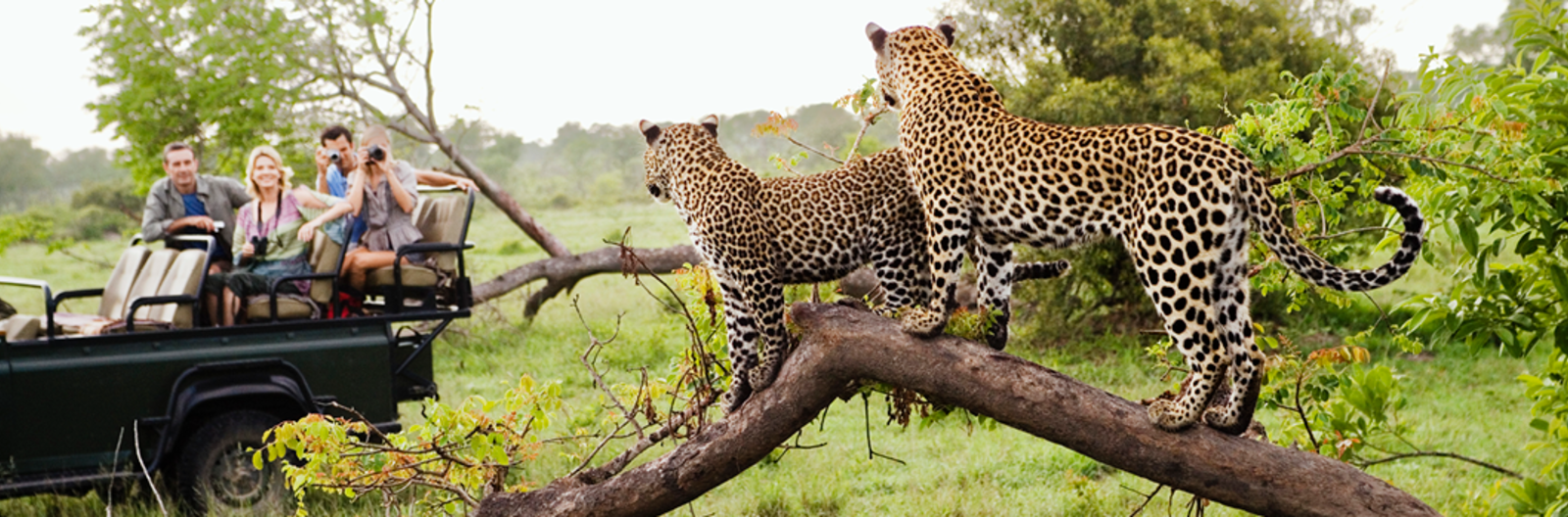 The best Nelspruit attractions that you cannot miss | Flight Centre ...