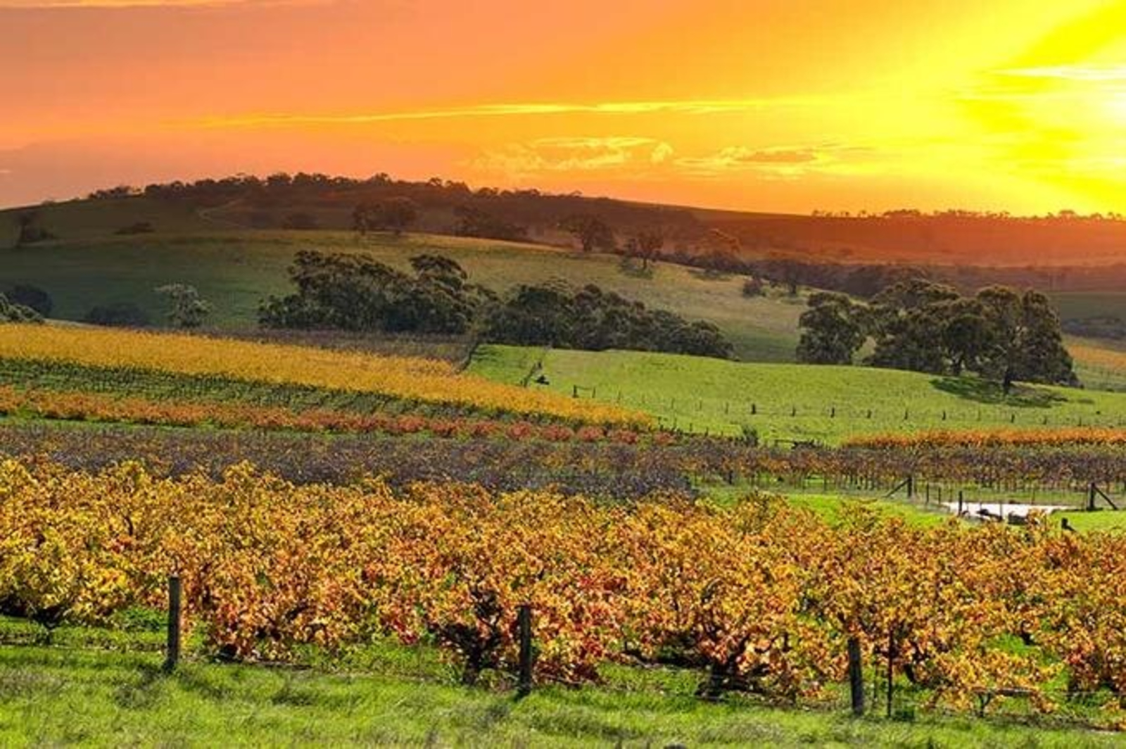 The Best Places to Stop on a South Australian Road Trip | Flight Centre UK