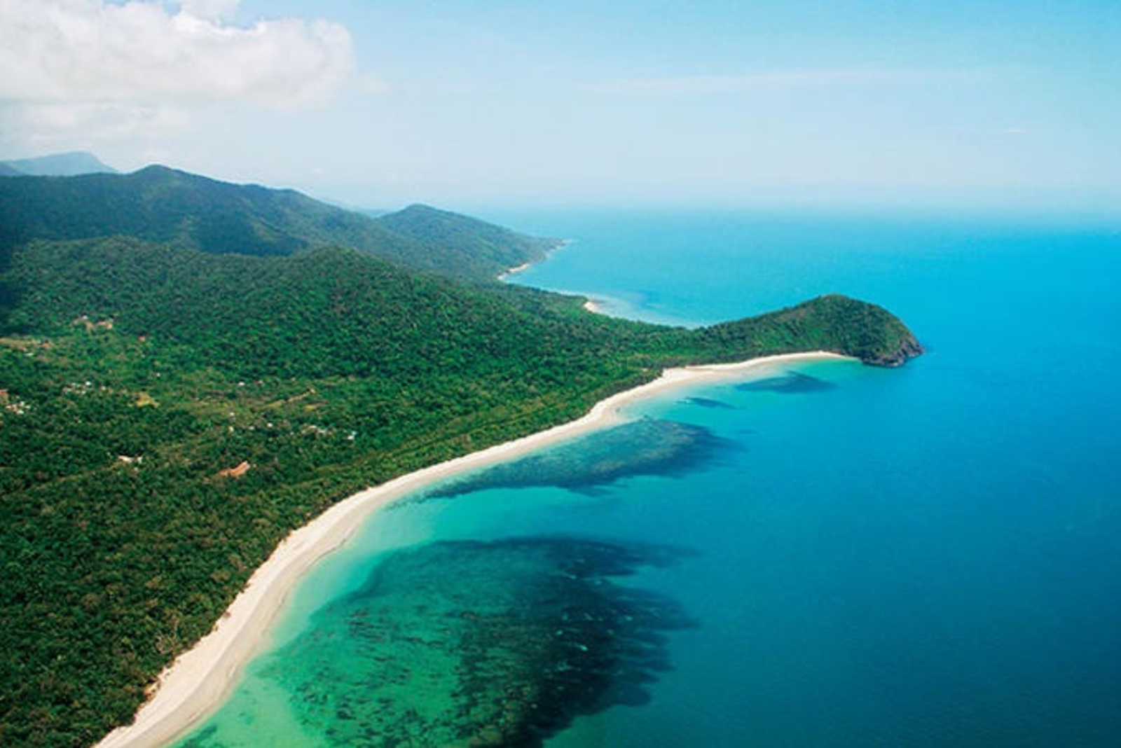 The Daintree: Your Guide To The World’s Oldest Rainforest | Flight ...
