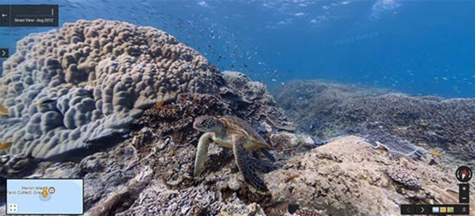 9 Fun Facts about the Great Barrier Reef | Flight Centre UK