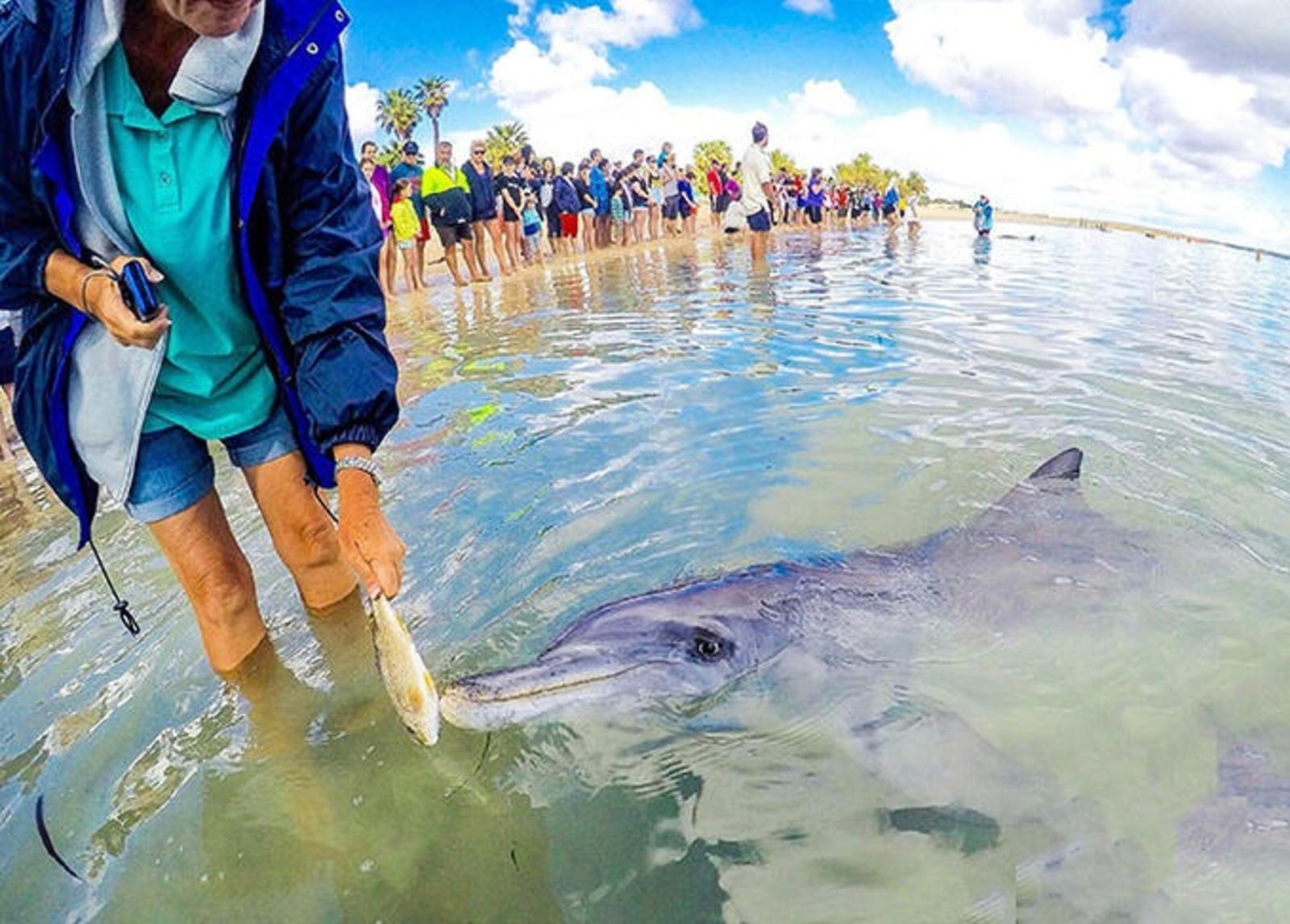 8 Reasons to Visit Shark Bay, Western Australia