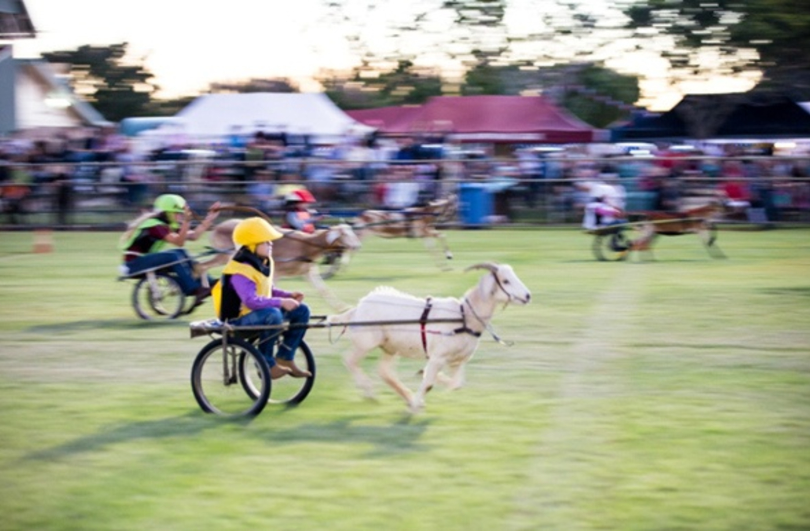 Outback Queensland Festivals That Will Thrill The Kids!
