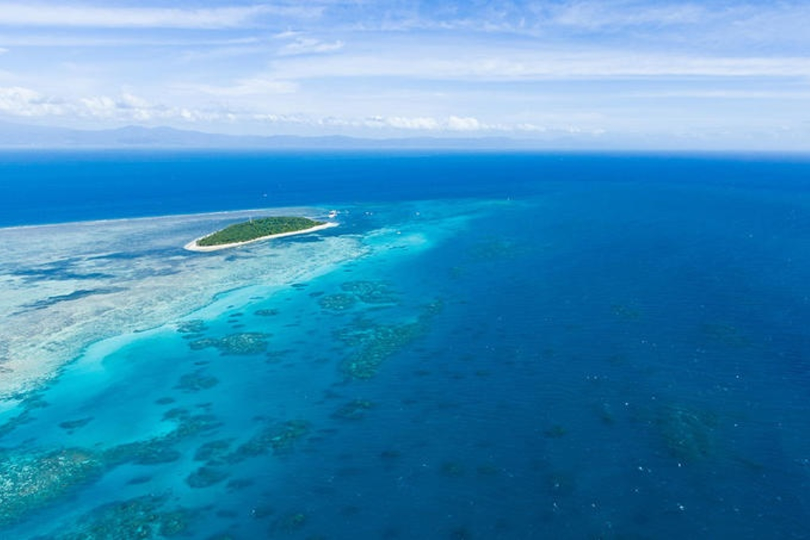 8 of the Best Reasons to Visit the Great Barrier Reef | Flight Centre UK