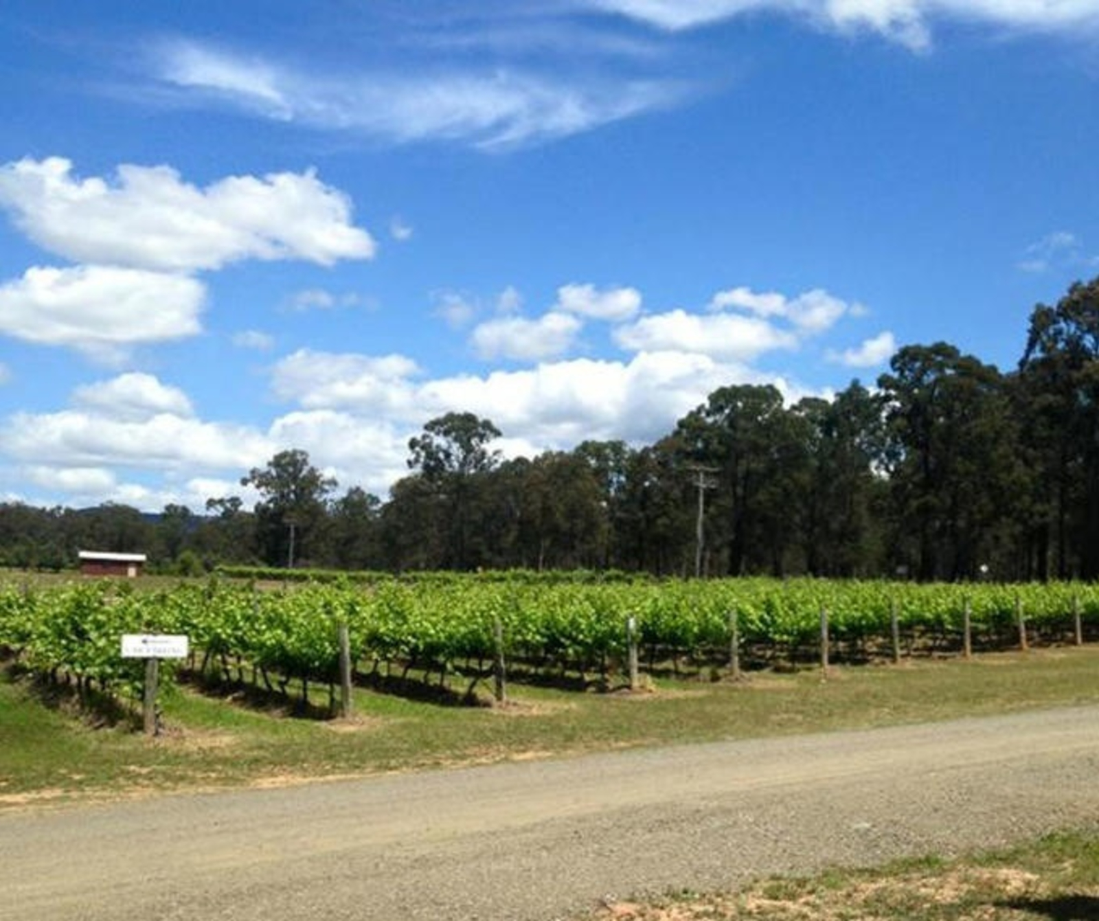 The Best Vineyards in the Hunter Valley | Flight Centre UK