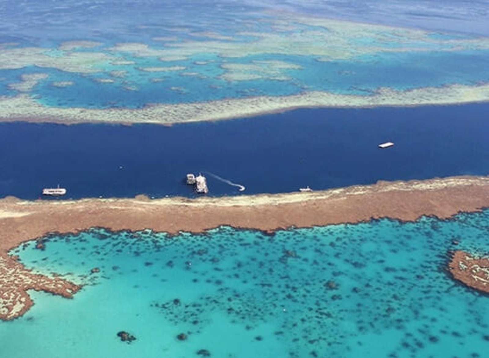How to Visit the Great Barrier Reef | Flight Centre UK