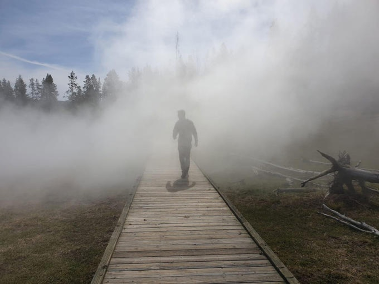 Discovering Yellowstone National Park | Flight Centre UK