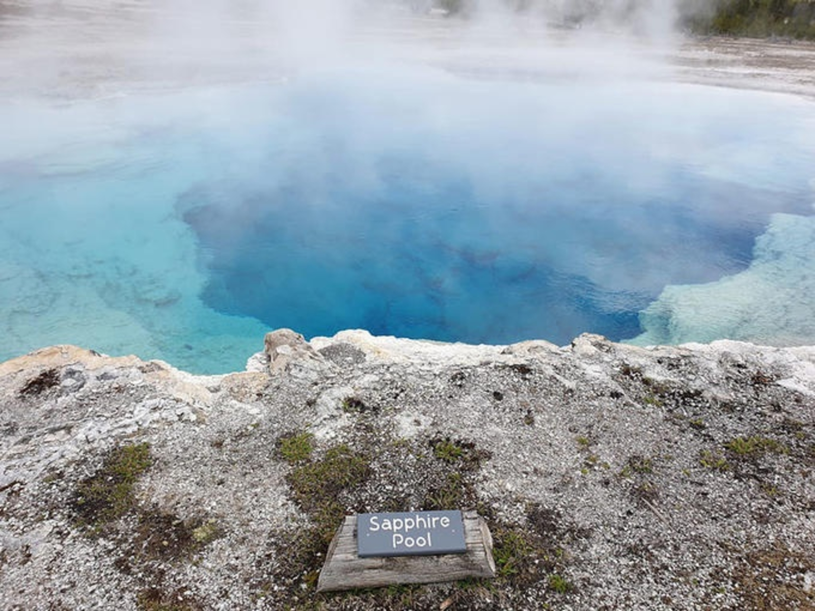 Discovering Yellowstone National Park | Flight Centre UK