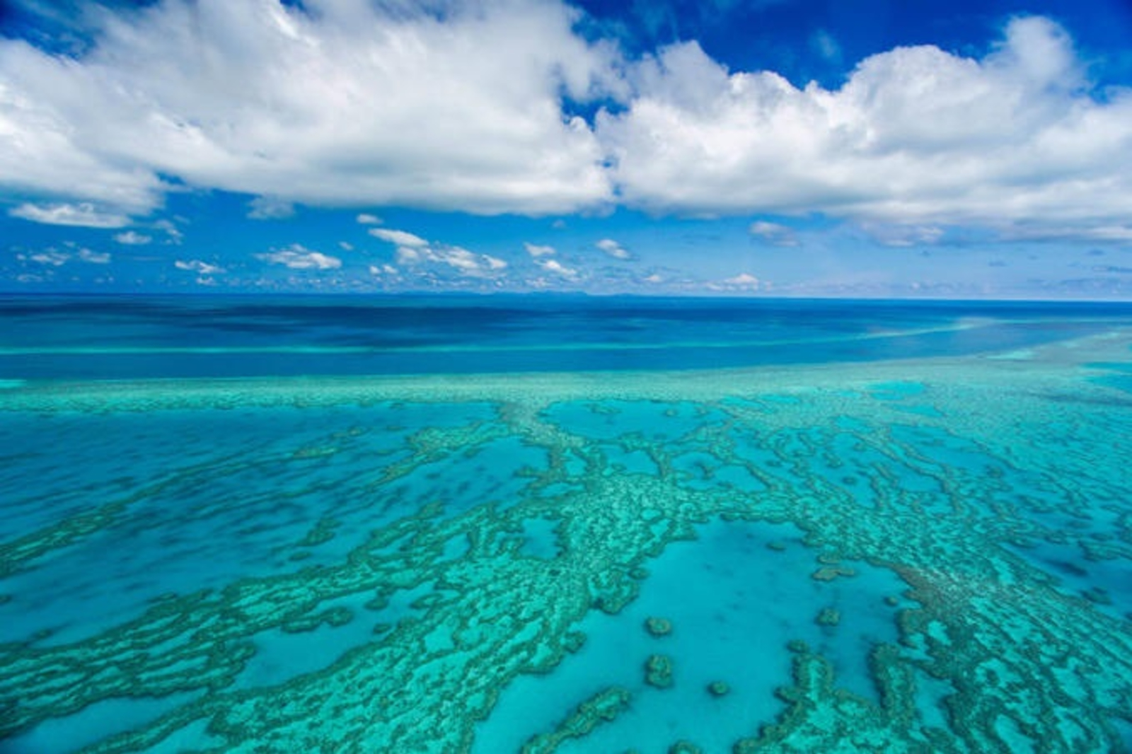 8 of the Best Reasons to Visit the Great Barrier Reef | Flight Centre UK