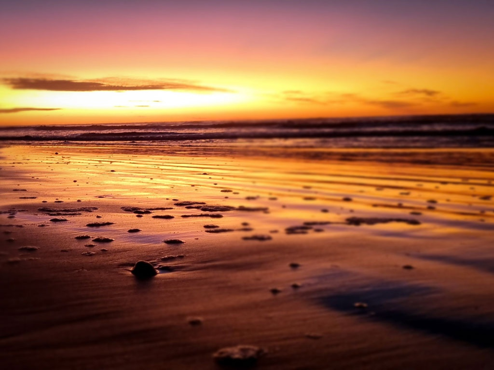 Your Fab One Stop Guide To Visiting K'gari Fraser Island | Flight Centre