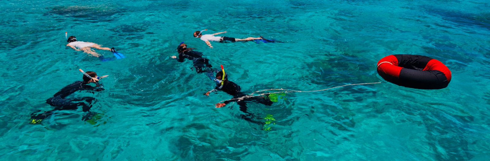 The Best Zanzibar Dive Sites for Adventurous Travellers | Flight Centre ...