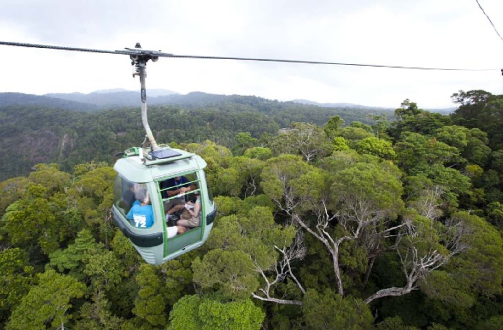 Kids' Choice: The Top 6 Attractions In Cairns For Families