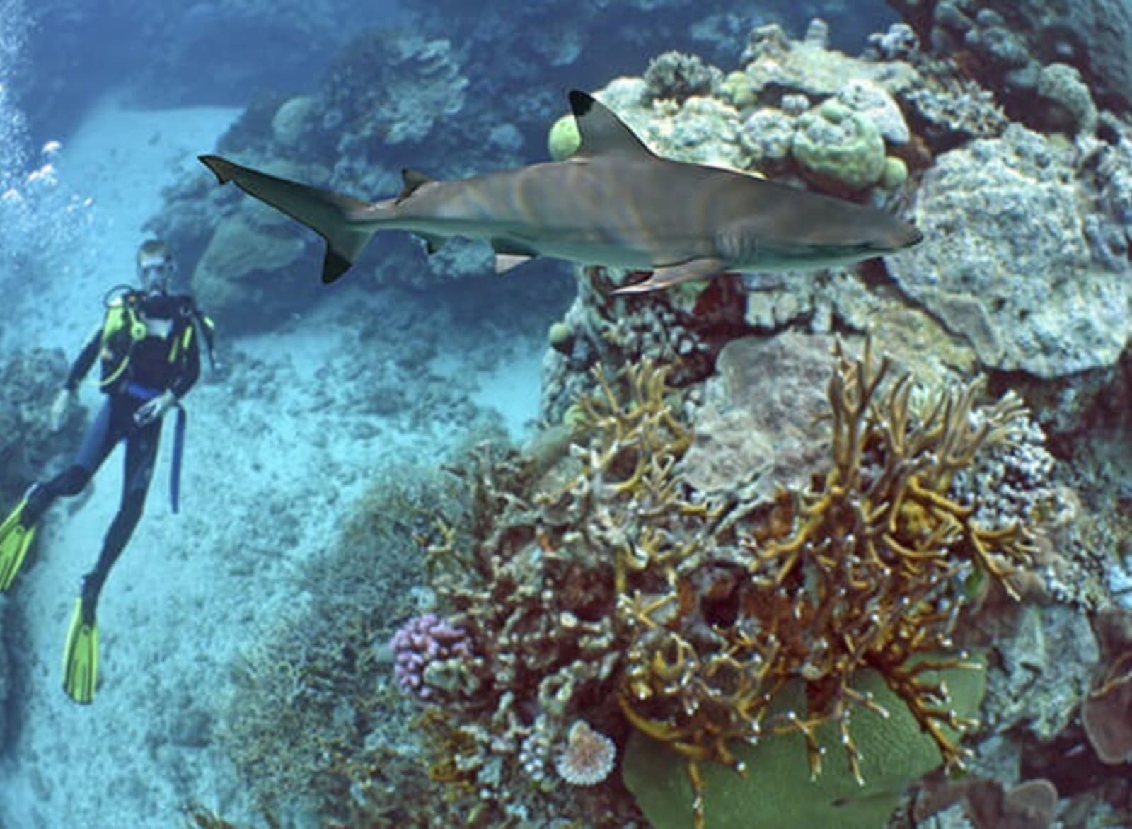 Introducing the Great 8 of Queensland's Great Barrier Reef | Flight ...