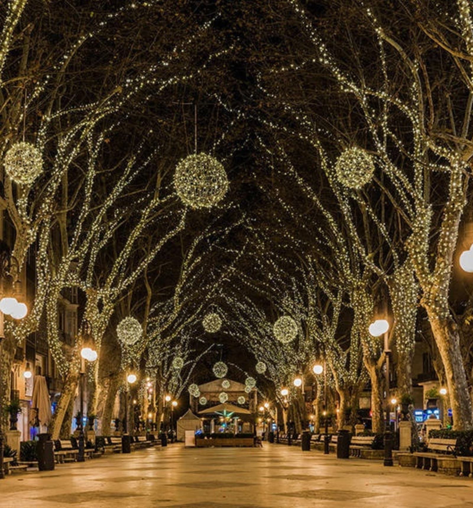 7 Reasons Why You Should Visit Mallorca in Winter | Flight Centre UK
