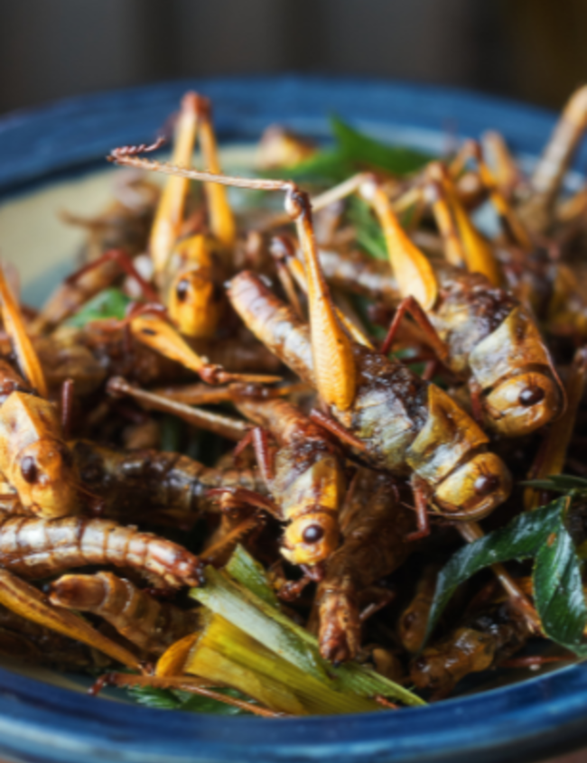 Udon Wanna Miss This: An Exciting Culinary Adventure Through Asia ...