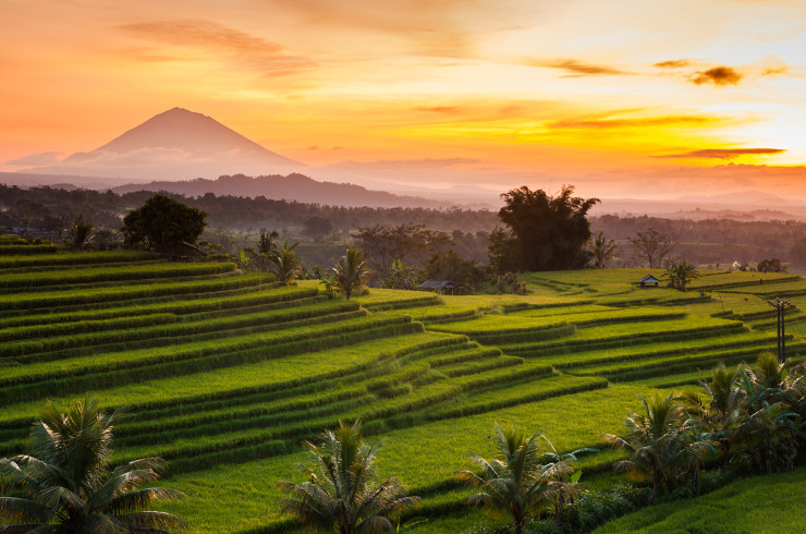 Cheap Flights from London (LON) to Indonesia | Flight Centre